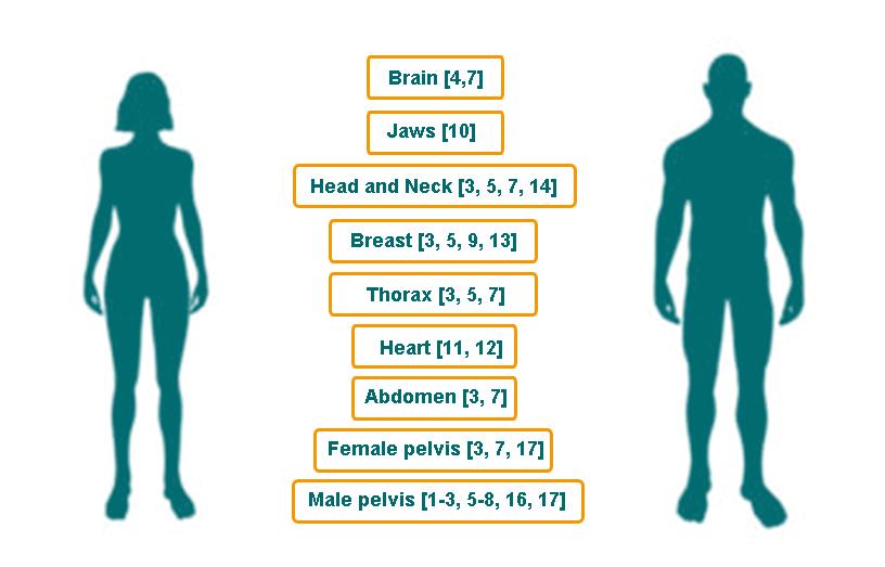 📍Research Results of MVision AI Contour+ Models’ Clinical Evaluation ...